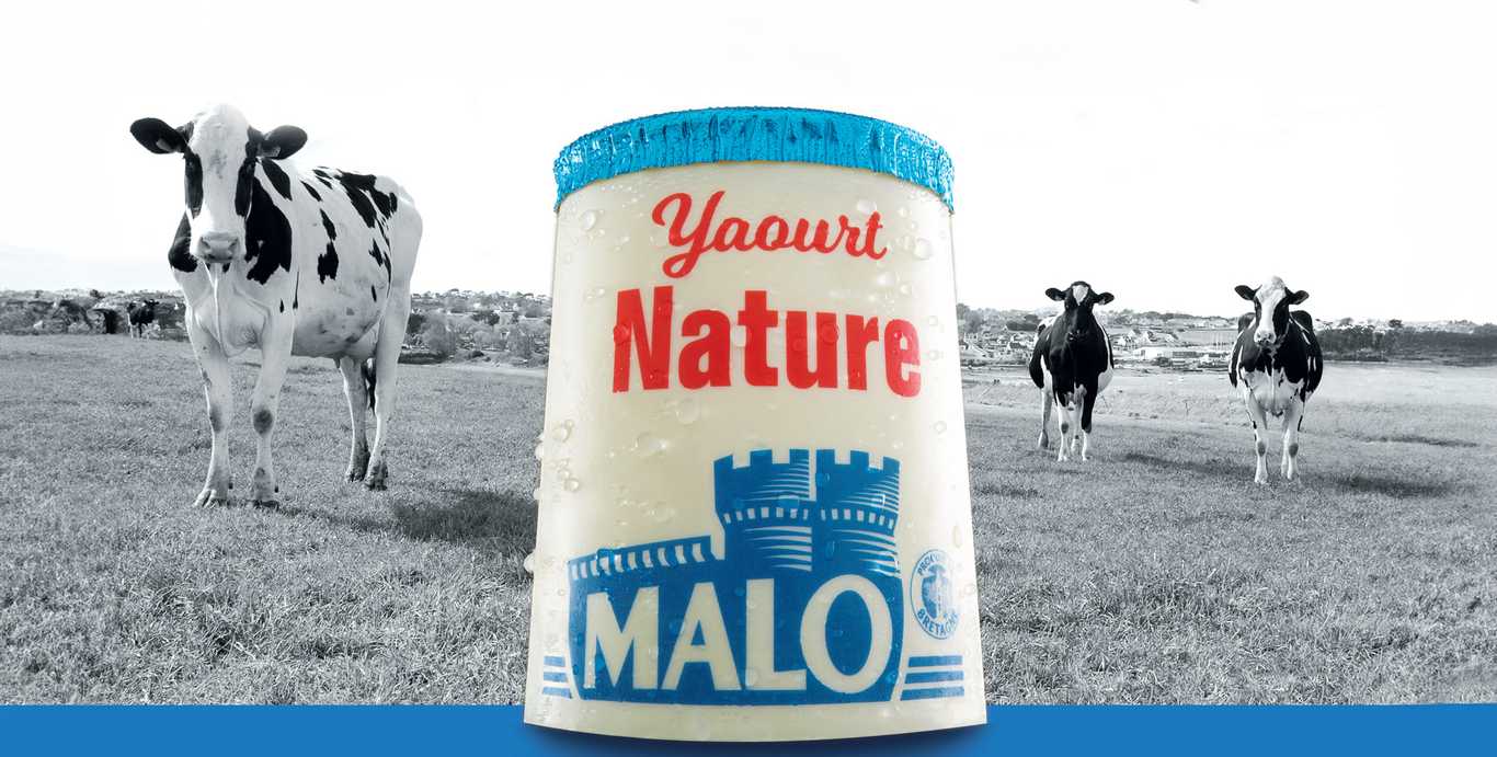 Malo | Casinetto